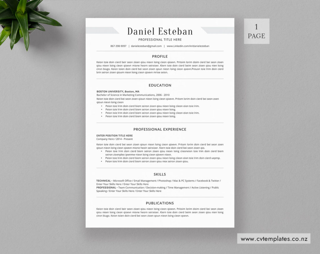 Professional CV Template, Curriculum Vitae, Minimalist CV Template, MS ...