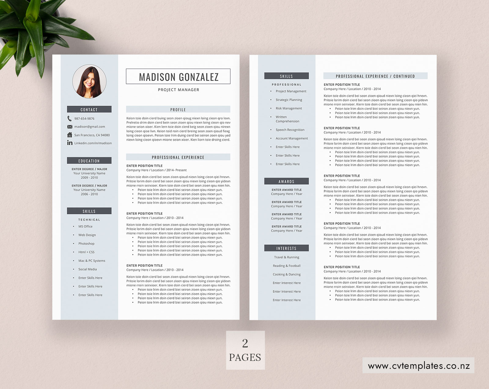 CV Template Professional Curriculum Vitae Minimalist CV Template 