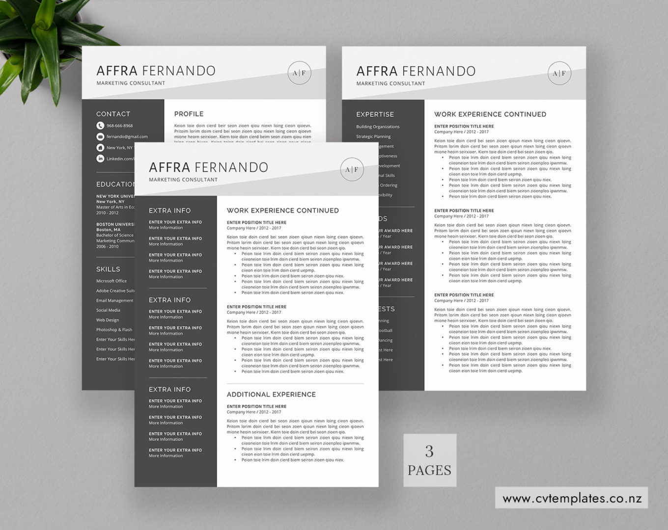 CV Template for MS Word, Professional Curriculum Vitae, CV Template ...