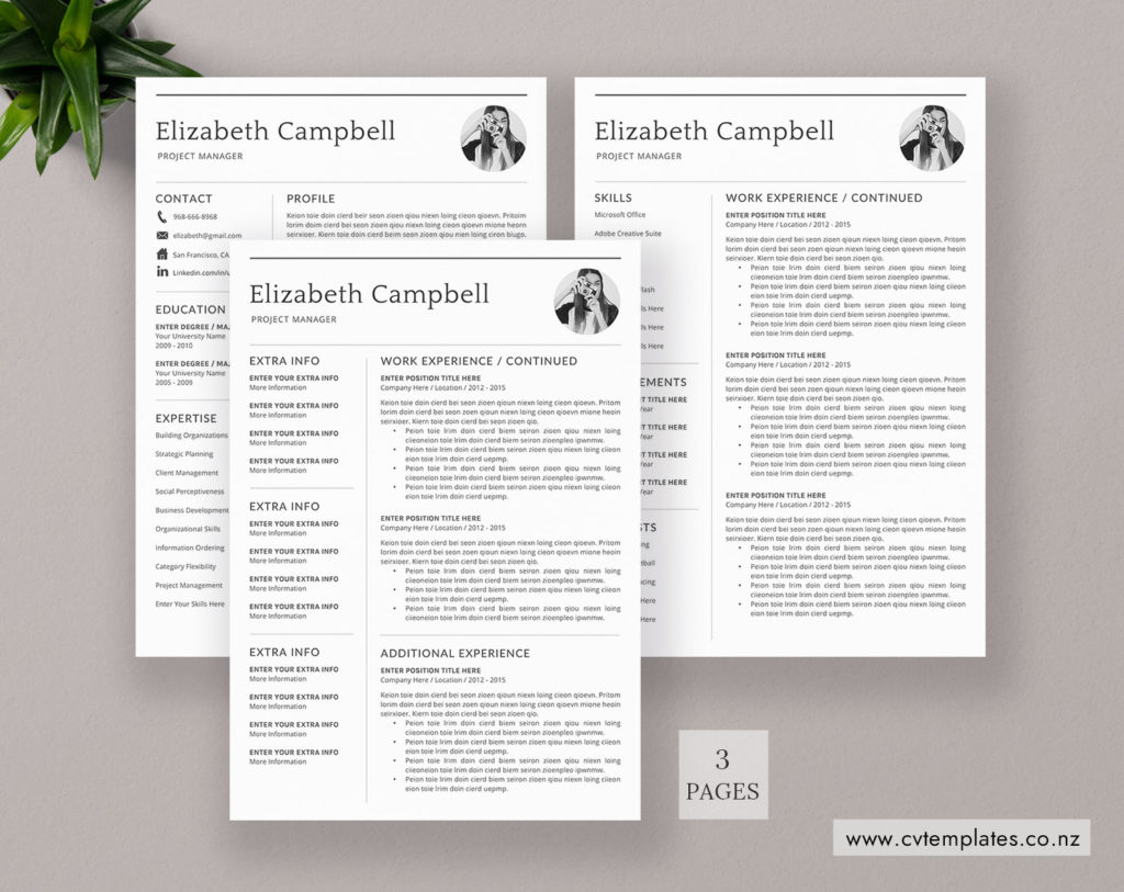 CV Template for MS Word, Professional Curriculum Vitae, CV Template ...