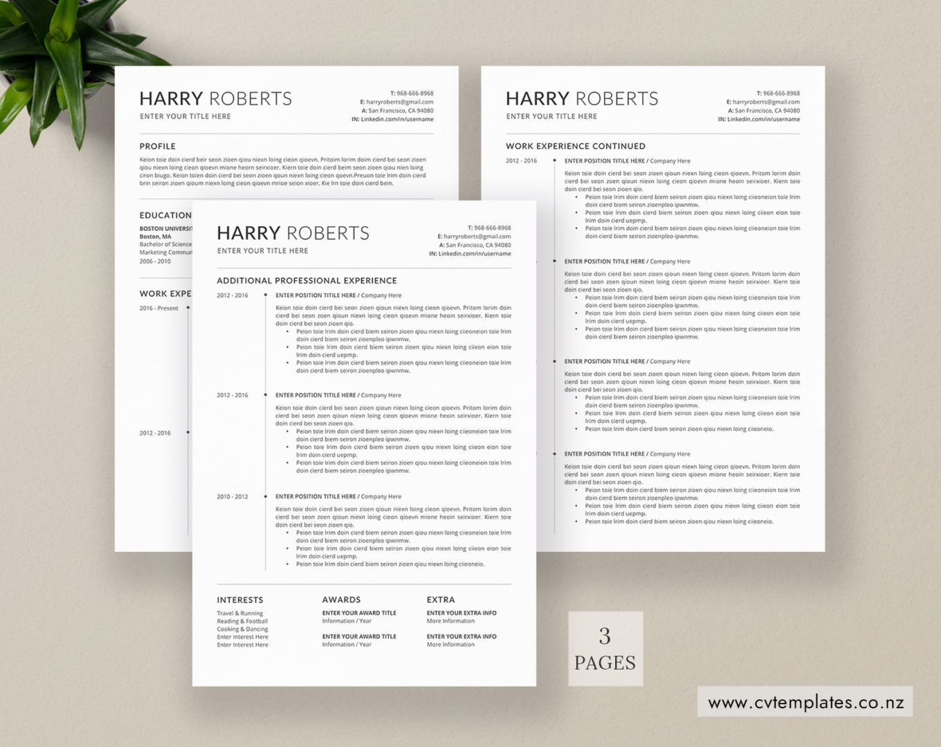 CV Template for MS Word, Curriculum Vitae, Functional CV Template ...