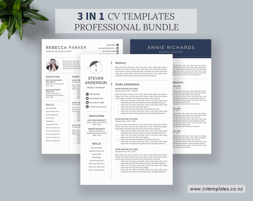 CV Bundle, CV Templates, Professional Curriculum Vitae, MS Word CV ...