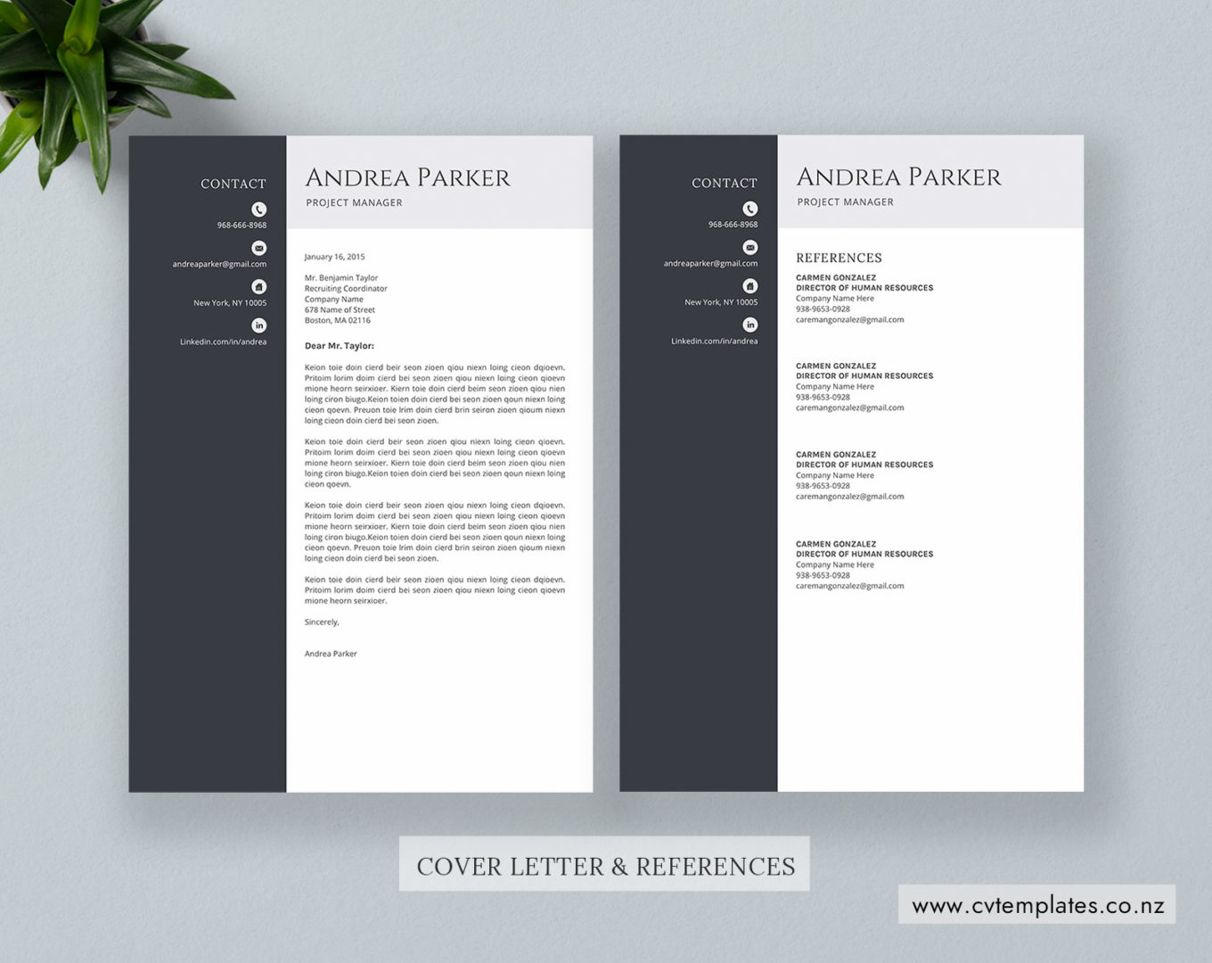 CV Template, Professional Curriculum Vitae, CV Template Design, MS Word ...