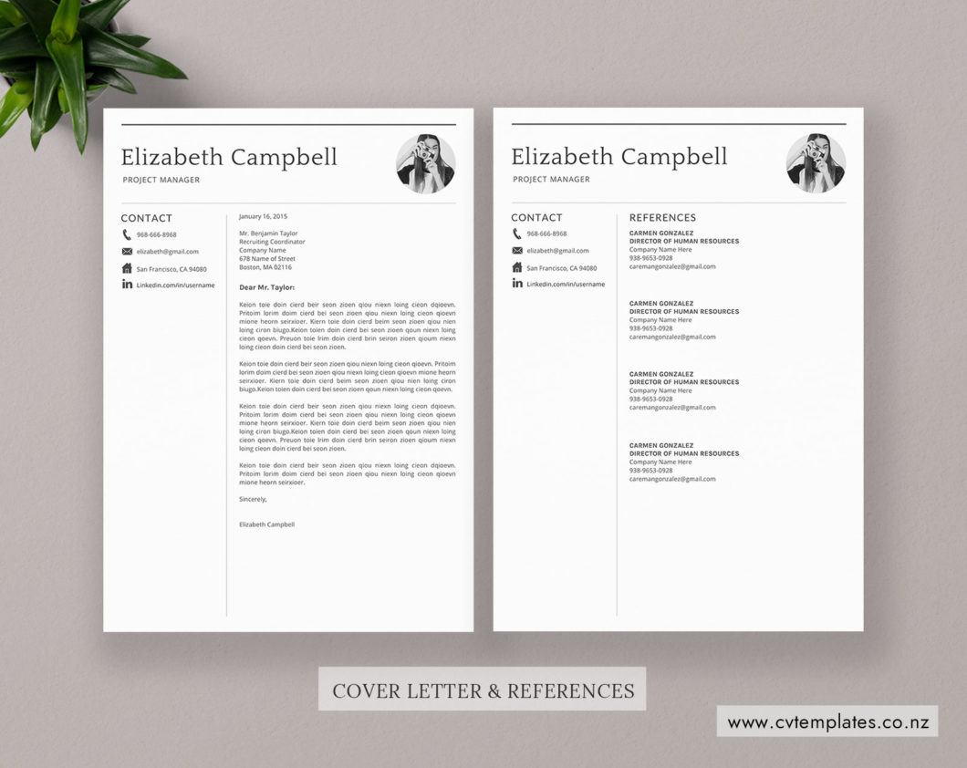 CV Template for MS Word, Professional Curriculum Vitae, CV Template ...