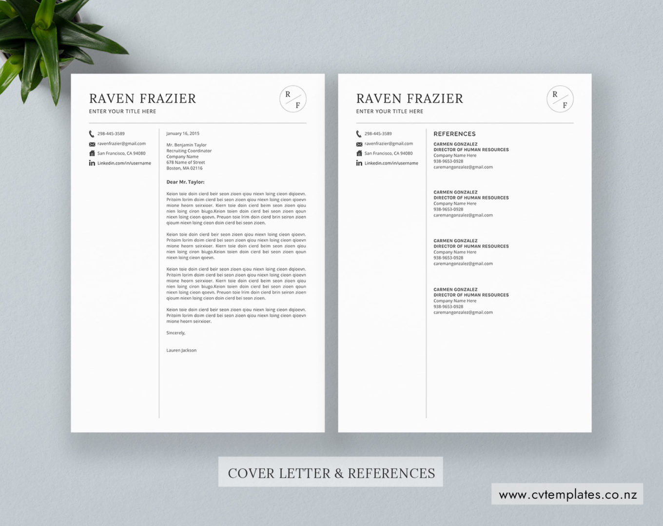 CV Template for MS Word, Curriculum Vitae, Functional CV Template ...