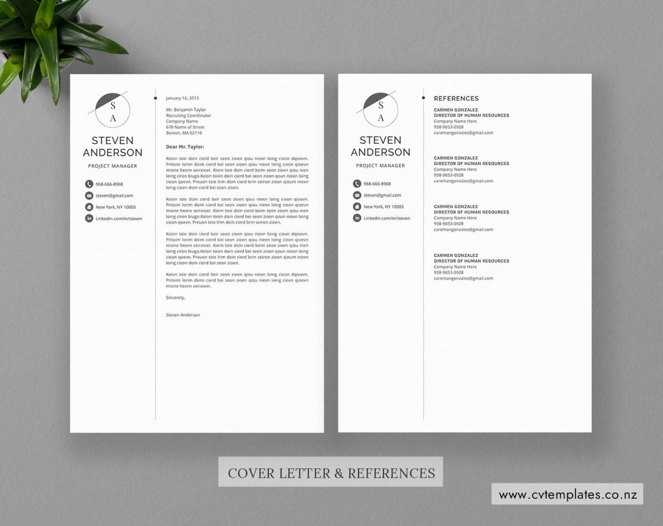 CV Template for MS Word, Professional Curriculum Vitae, CV Template ...