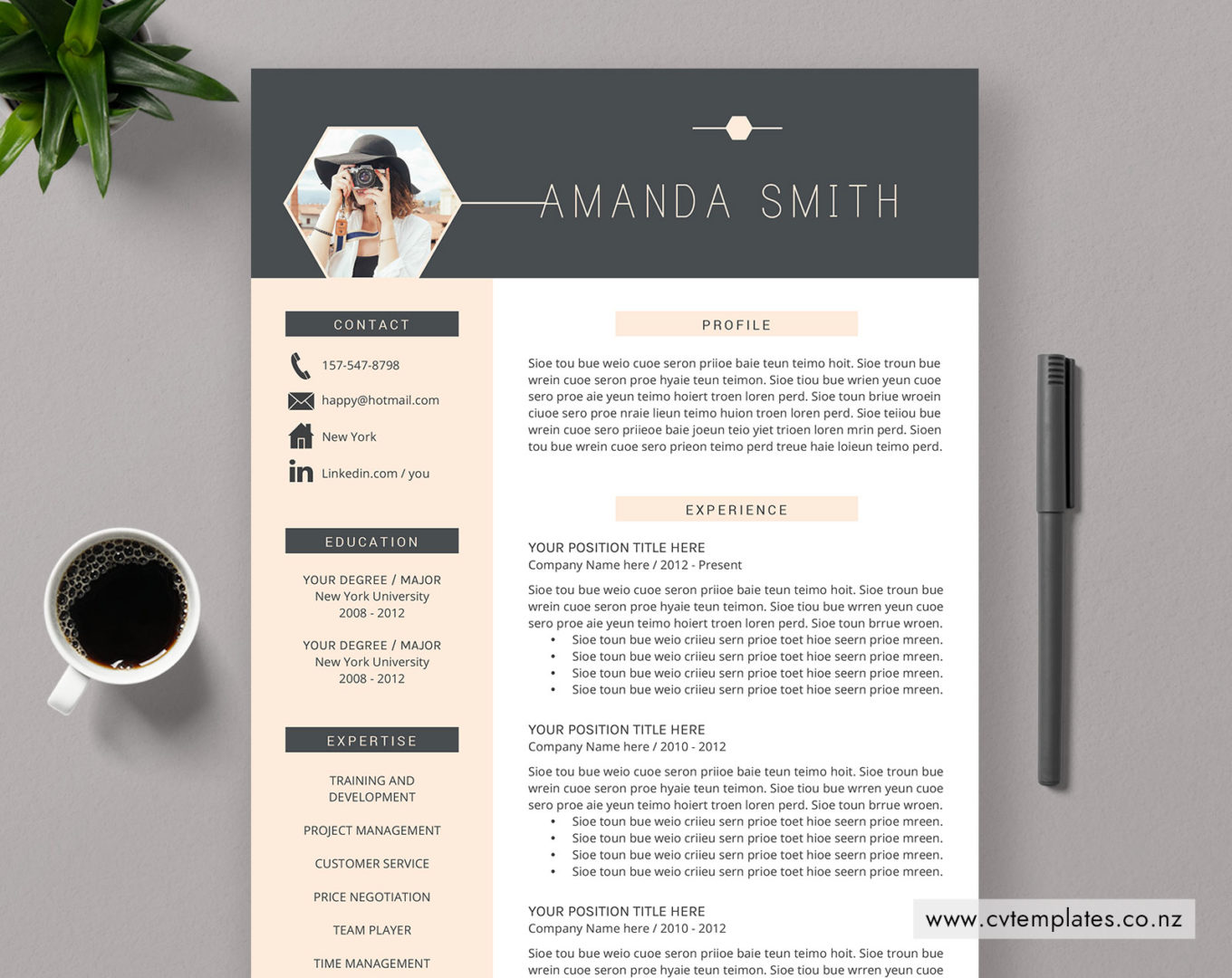 CV Template for MS Word, Curriculum Vitae, Functional CV Template ...
