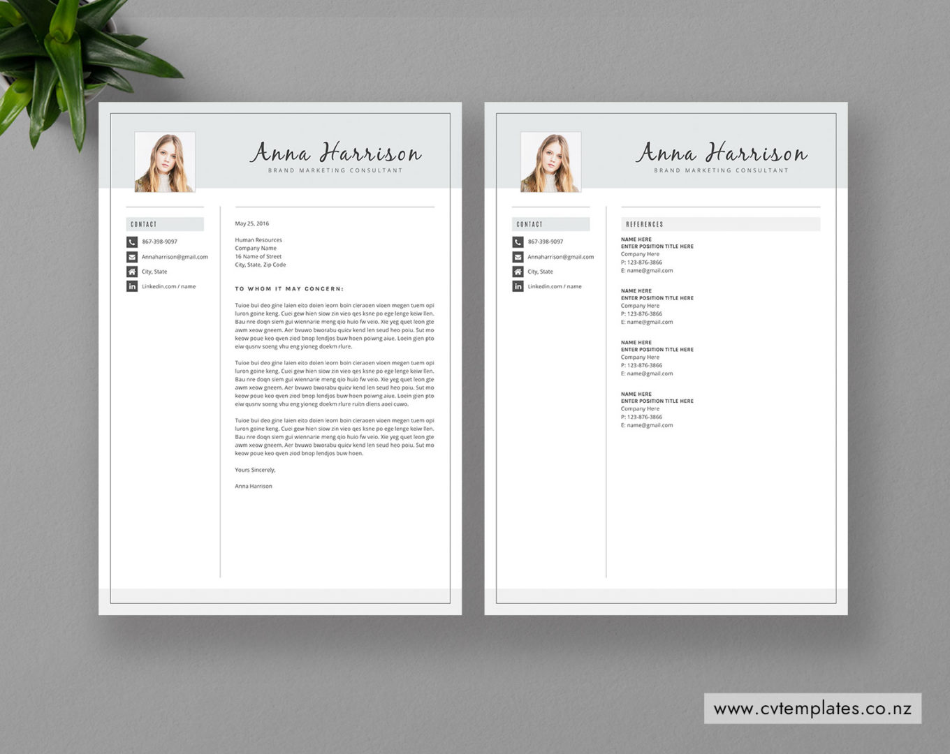 CV Template for MS Word, Curriculum Vitae Template, Modern CV Template ...