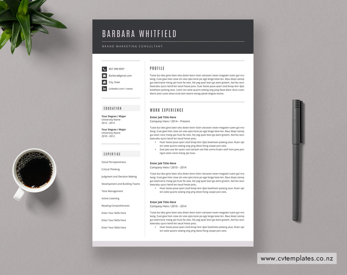 CV Template for MS Word, Best Selling Curriculum Vitae Template, 1, 2 ...