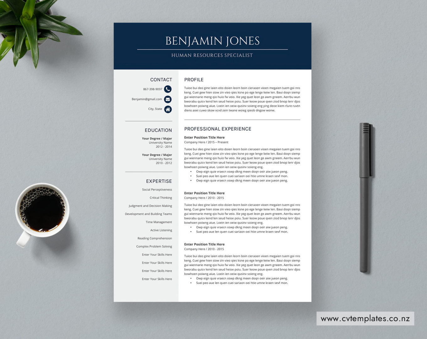 CV Template for MS Word, Curriculum Vitae Template, 1, 2 and 3 Page CV ...