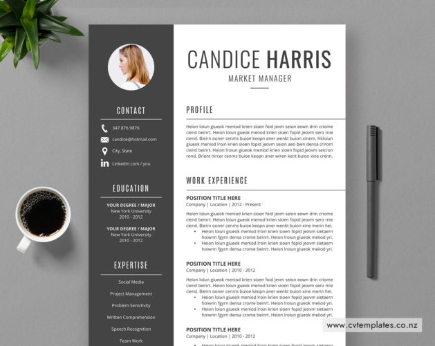 CV Template for MS Word, Curriculum Vitae, Professional CV Template ...