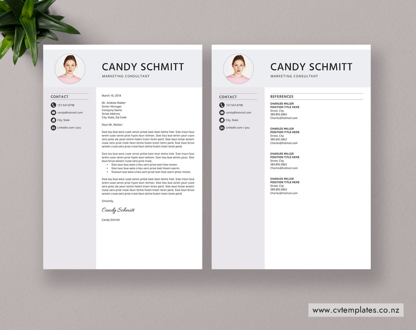 CV Template for MS Word, Curriculum Vitae, Elegant and Modern CV ...