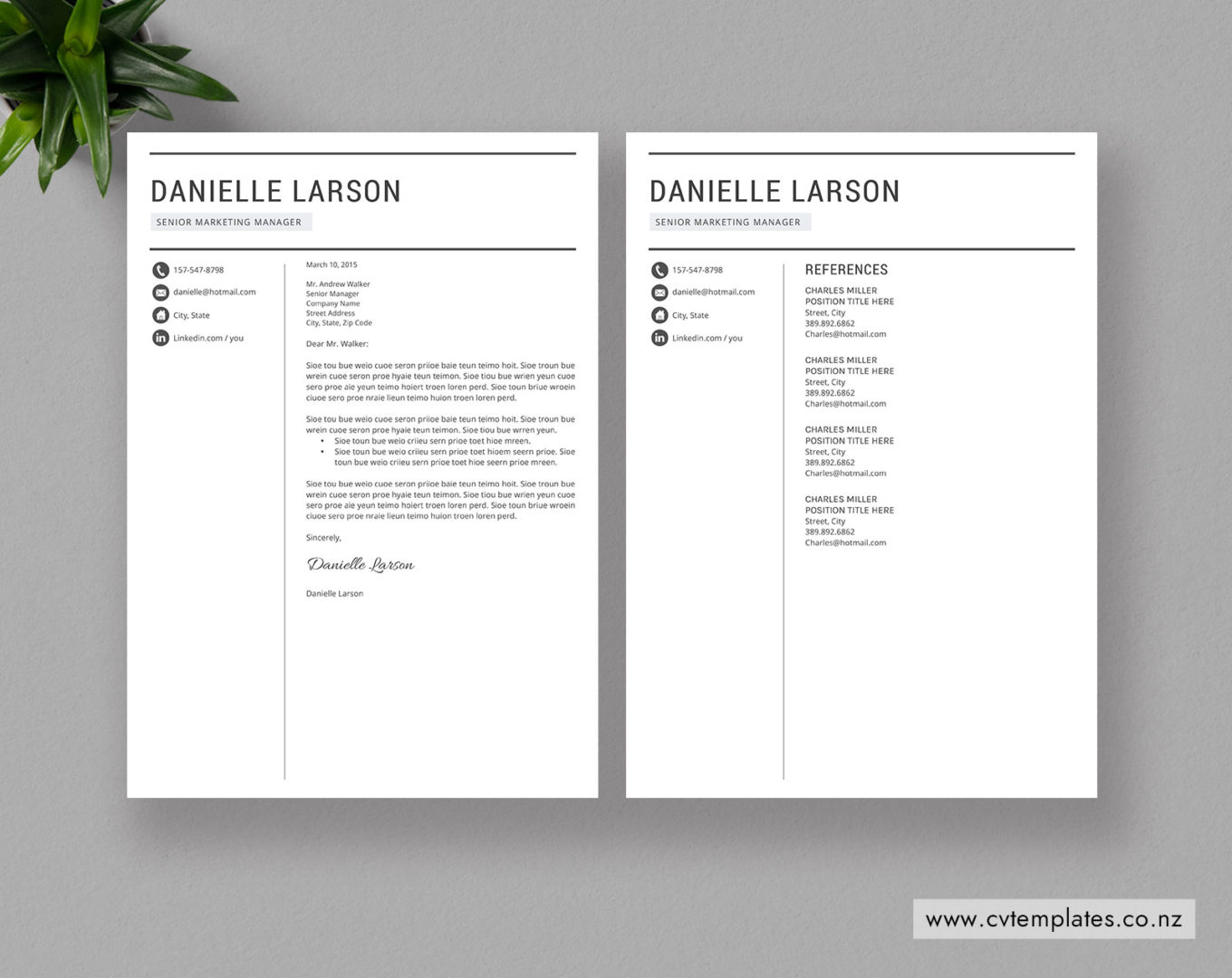 CV Template for MS Word, Curriculum Vitae, Simple and Clean CV Template ...