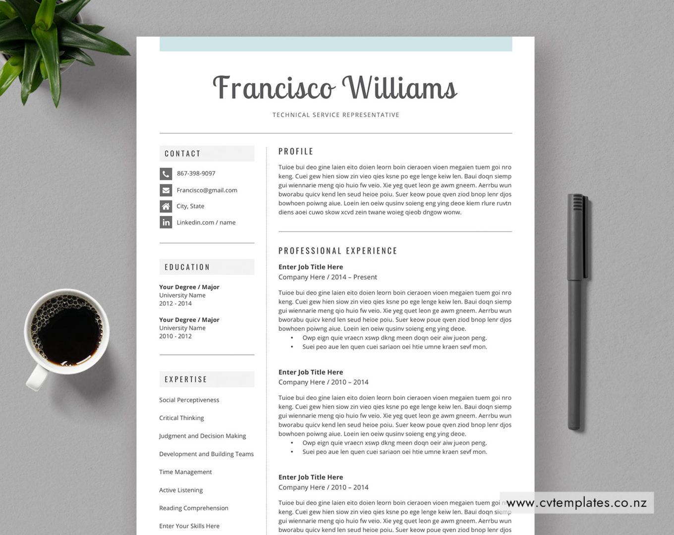 Premium New Zealand CV Templates – Page 4 – CVTemplates.co.nz