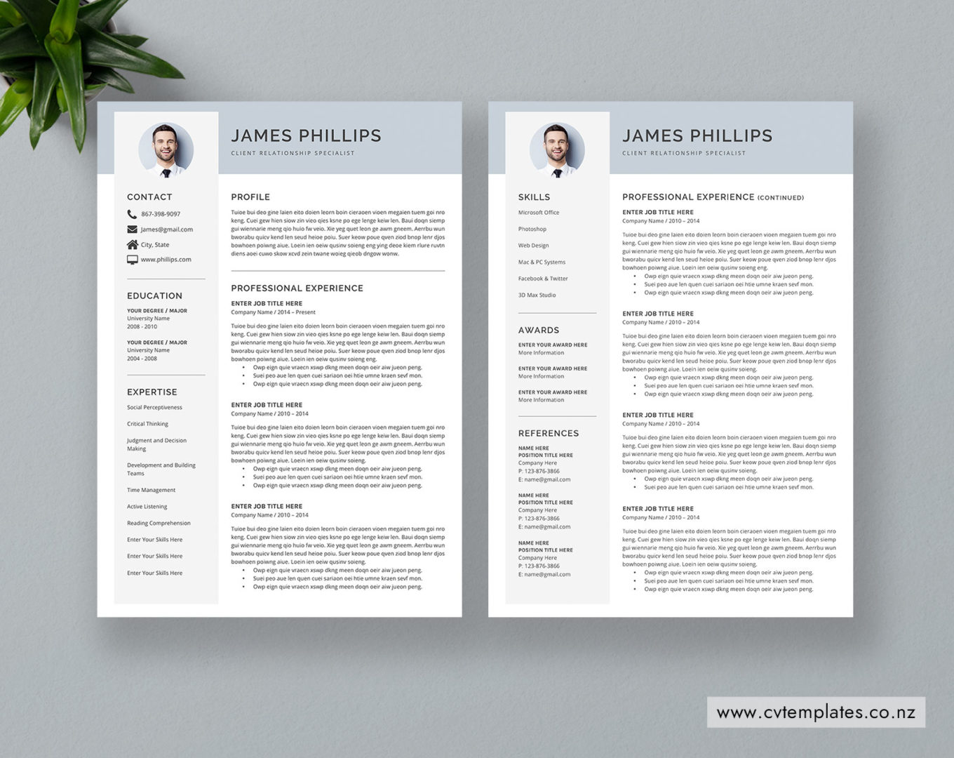 CV Template for MS Word, Best Selling Curriculum Vitae Template, 1, 2 ...