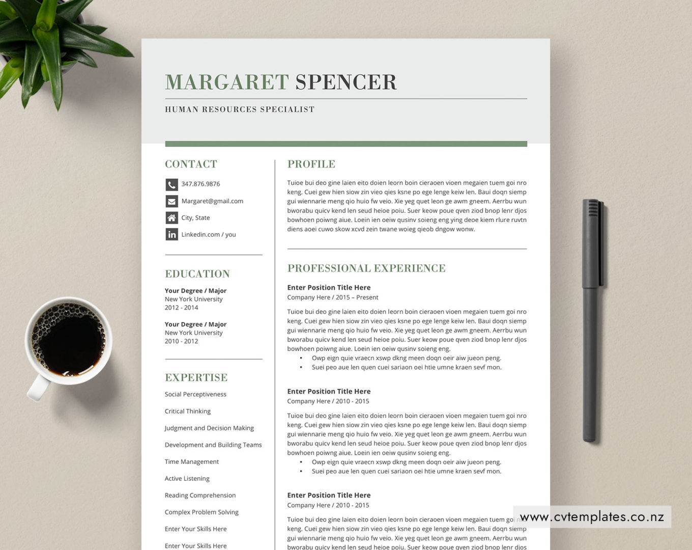 CV Templates for New Zealand Jobs: Preparing Job Applications for the ...