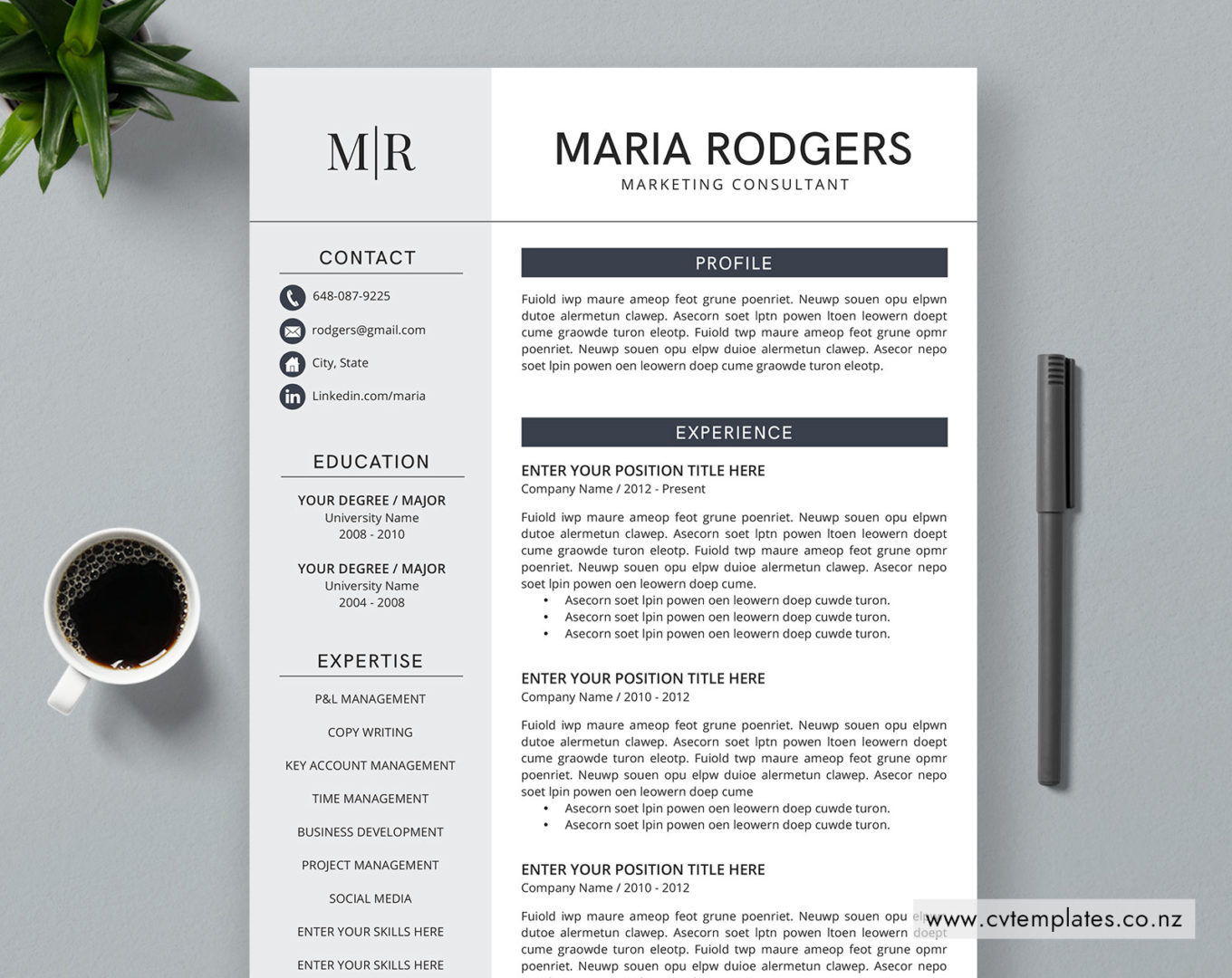 CV Templates for New Zealand Jobs: Preparing Job Applications for the ...