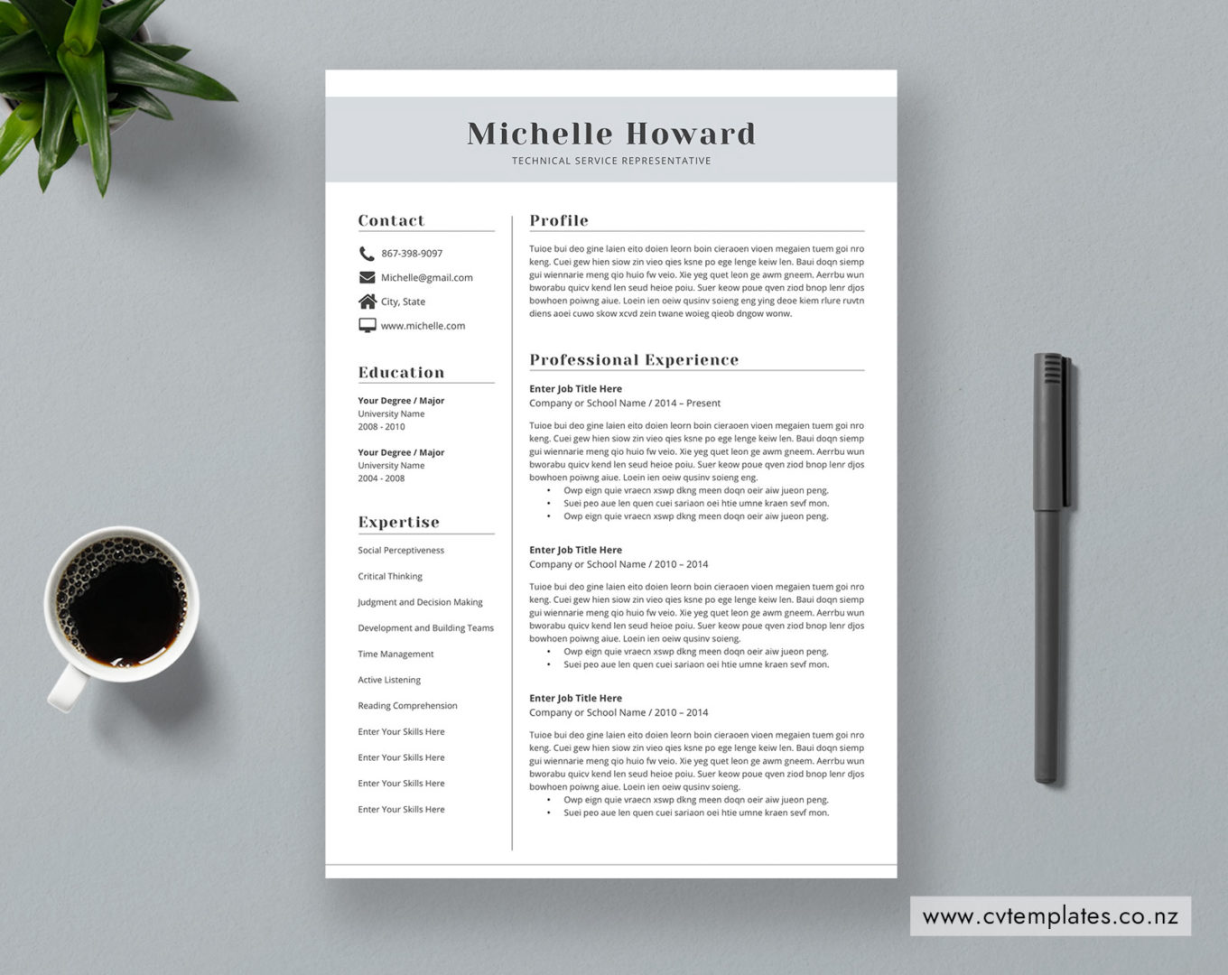 CV Templates for New Zealand Jobs: Preparing Job Applications for the ...