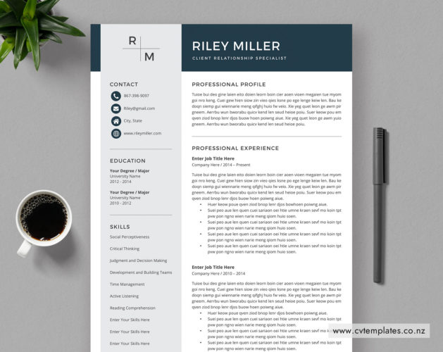 CV Template for MS Word, Curriculum Vitae, 1, 2 and 3 Page CV Template ...