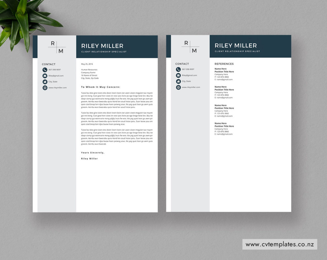 CV Template for MS Word, Curriculum Vitae, 1, 2 and 3 Page CV Template ...