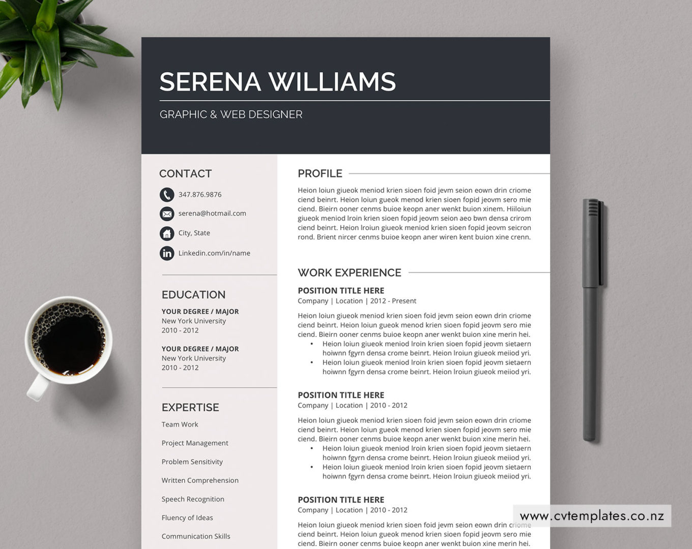 CV Template for MS Word, Curriculum Vitae, Professional CV Template ...