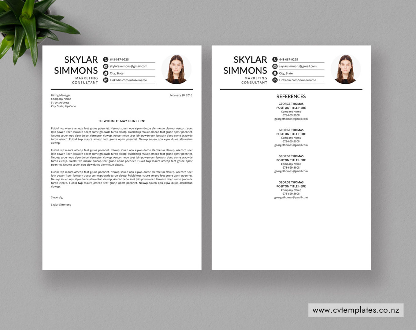 Professional CV Template for MS Word, Curriculum Vitae, CV Template ...