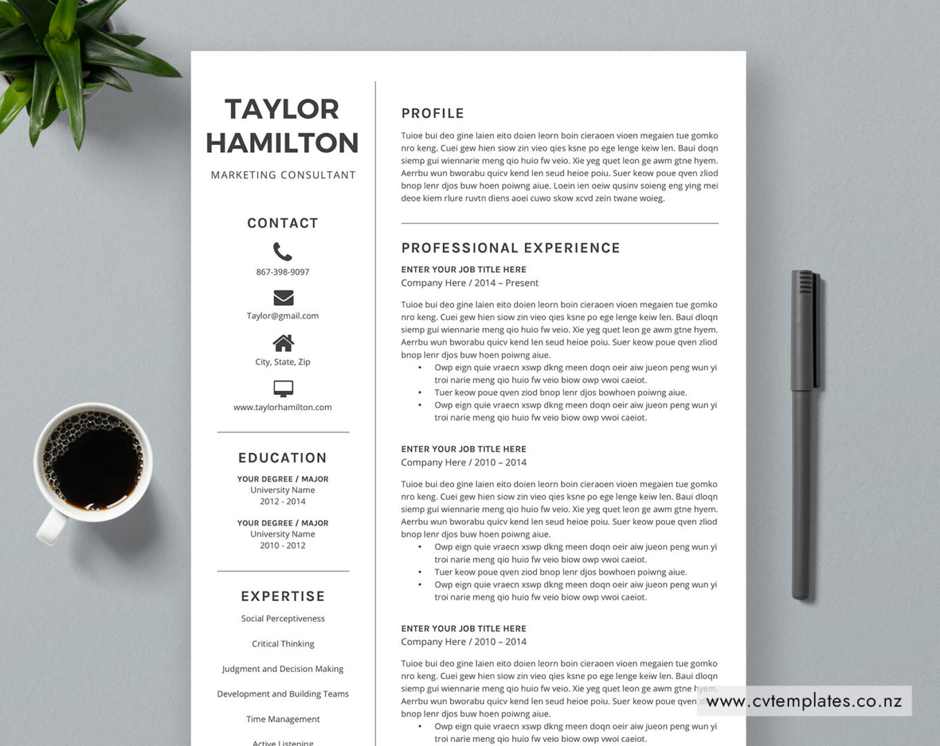CV Template for MS Word, Editable Curriculum Vitae, Student CV Template ...