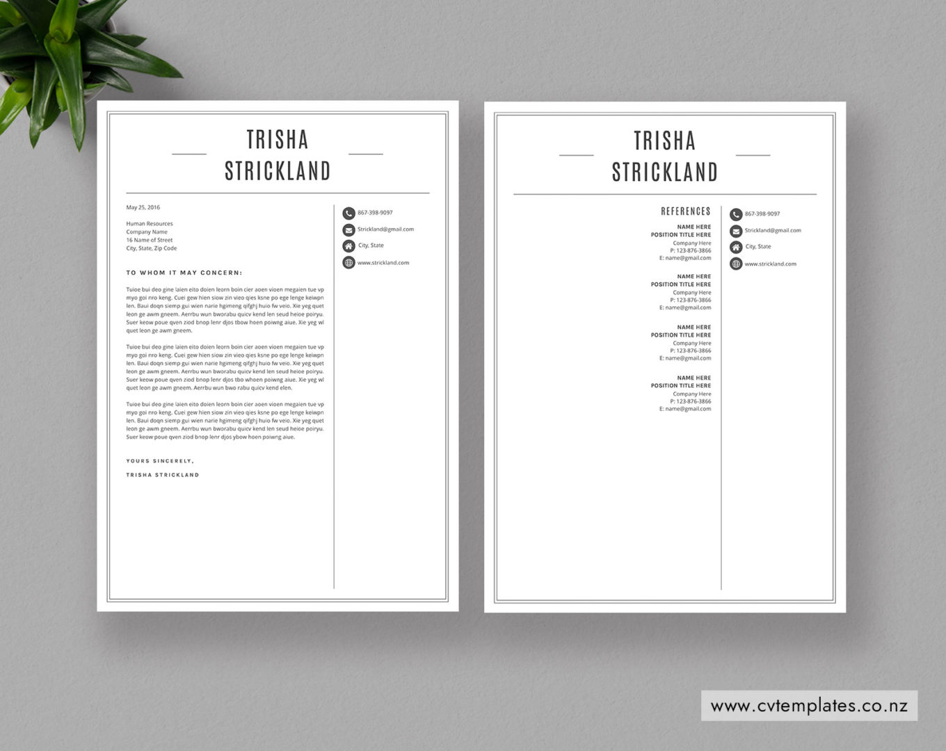 CV Template for MS Word, Curriculum Vitae, 1, 2 and 3 Page CV Template ...